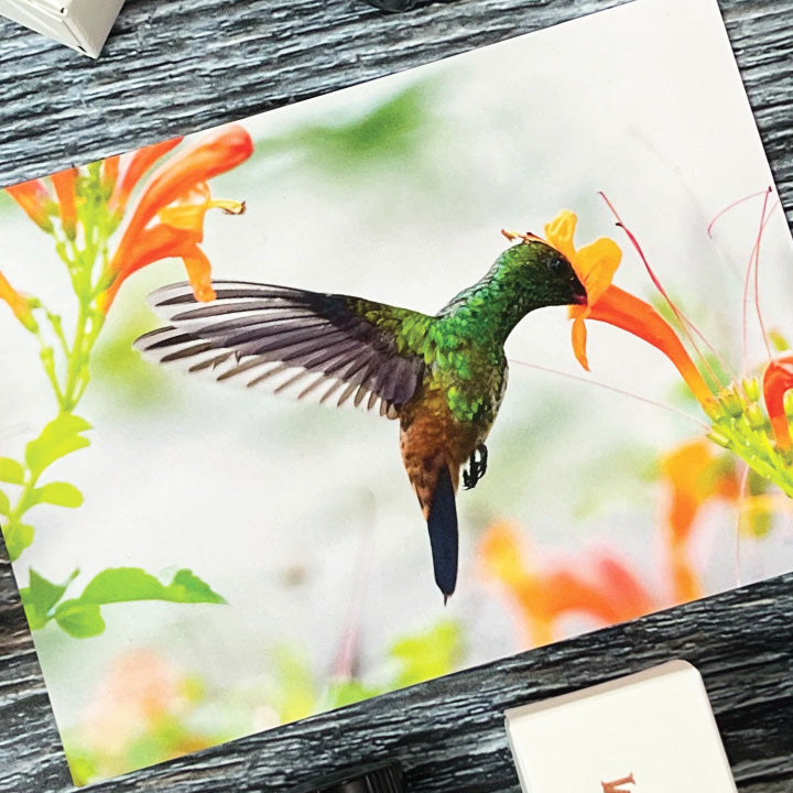 Today's Deals – Birmingham Pen Company