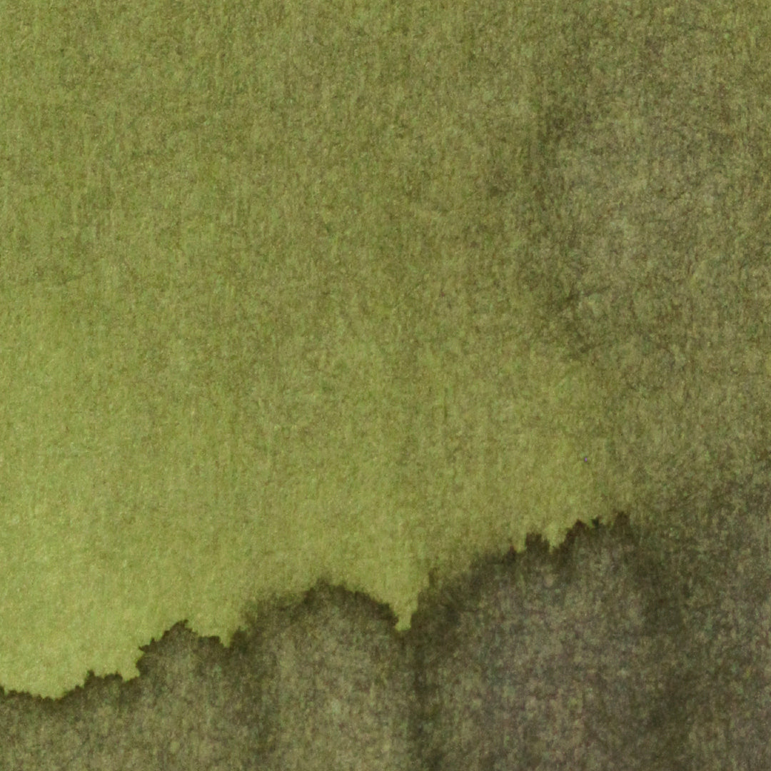 Rotten Seaweed Fountain Pen Ink – Birmingham Pen Company