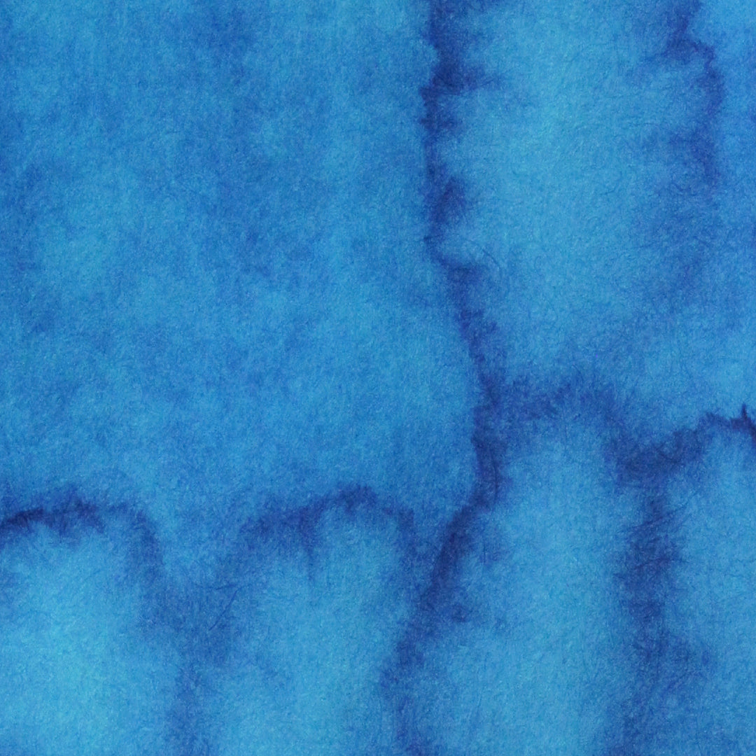 Guppy Fountain Pen Ink – Birmingham Pen Company