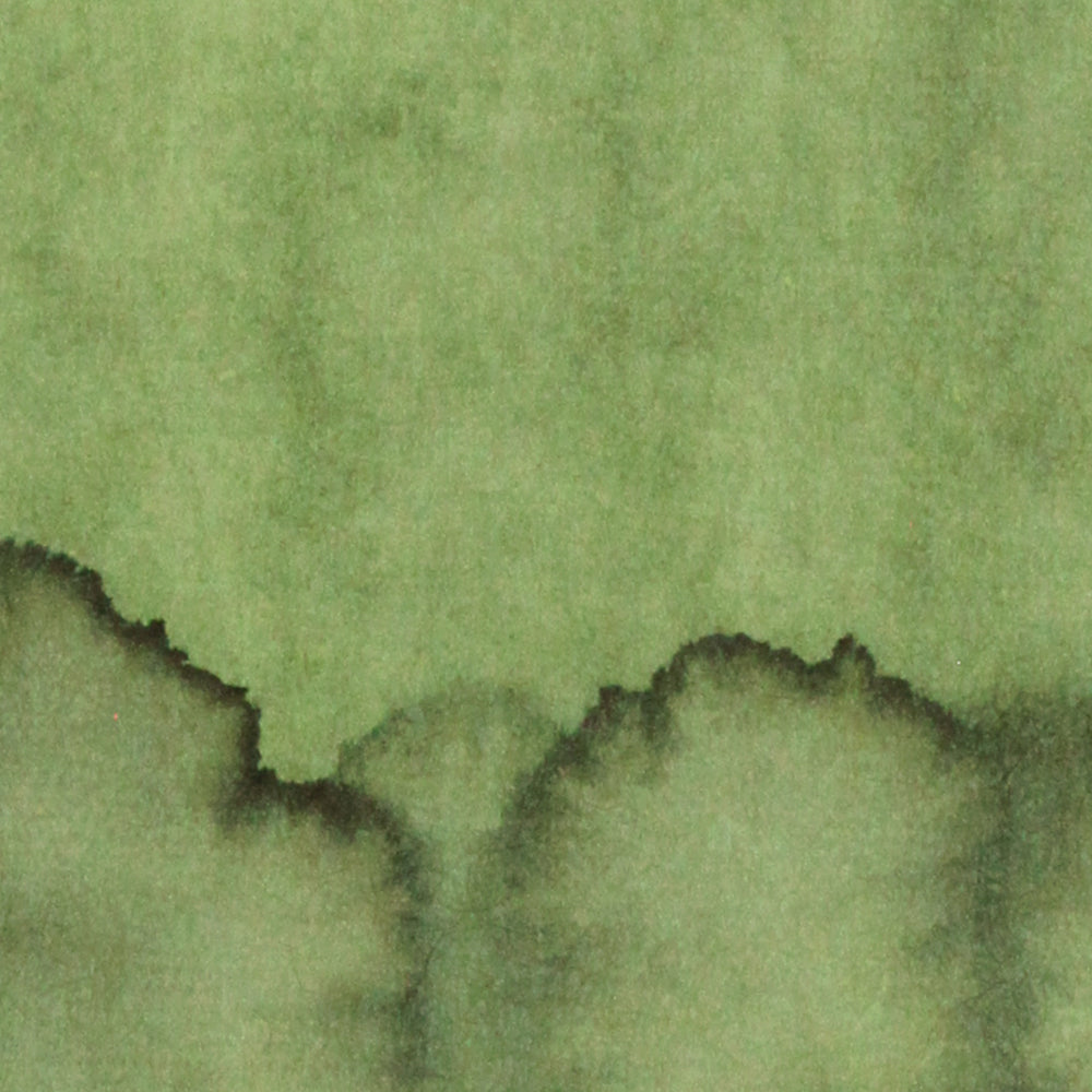 Basil Pesto Fountain Pen Ink – Birmingham Pen Company